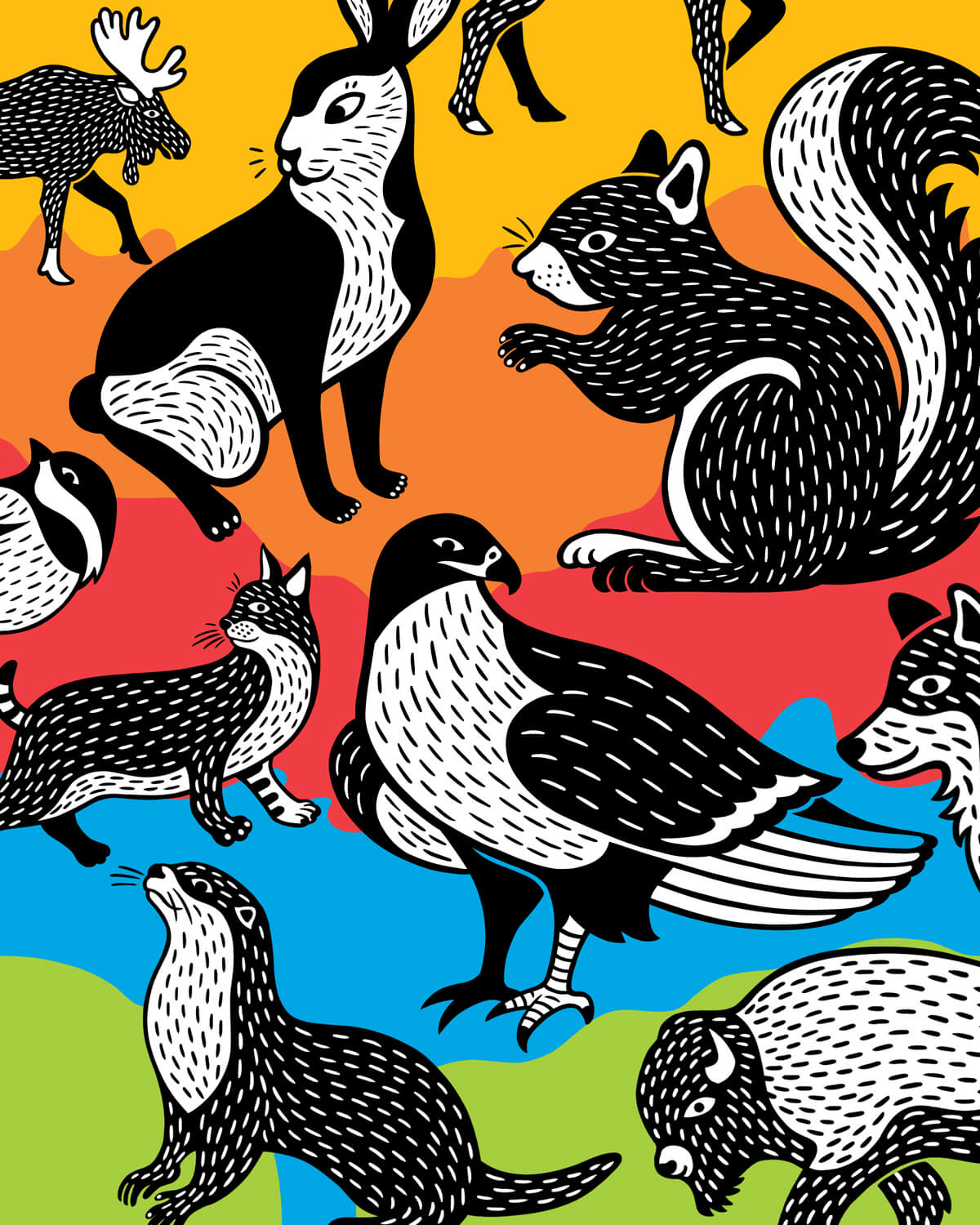 Wild State: Natural Craft Cider | Moxie Sozo