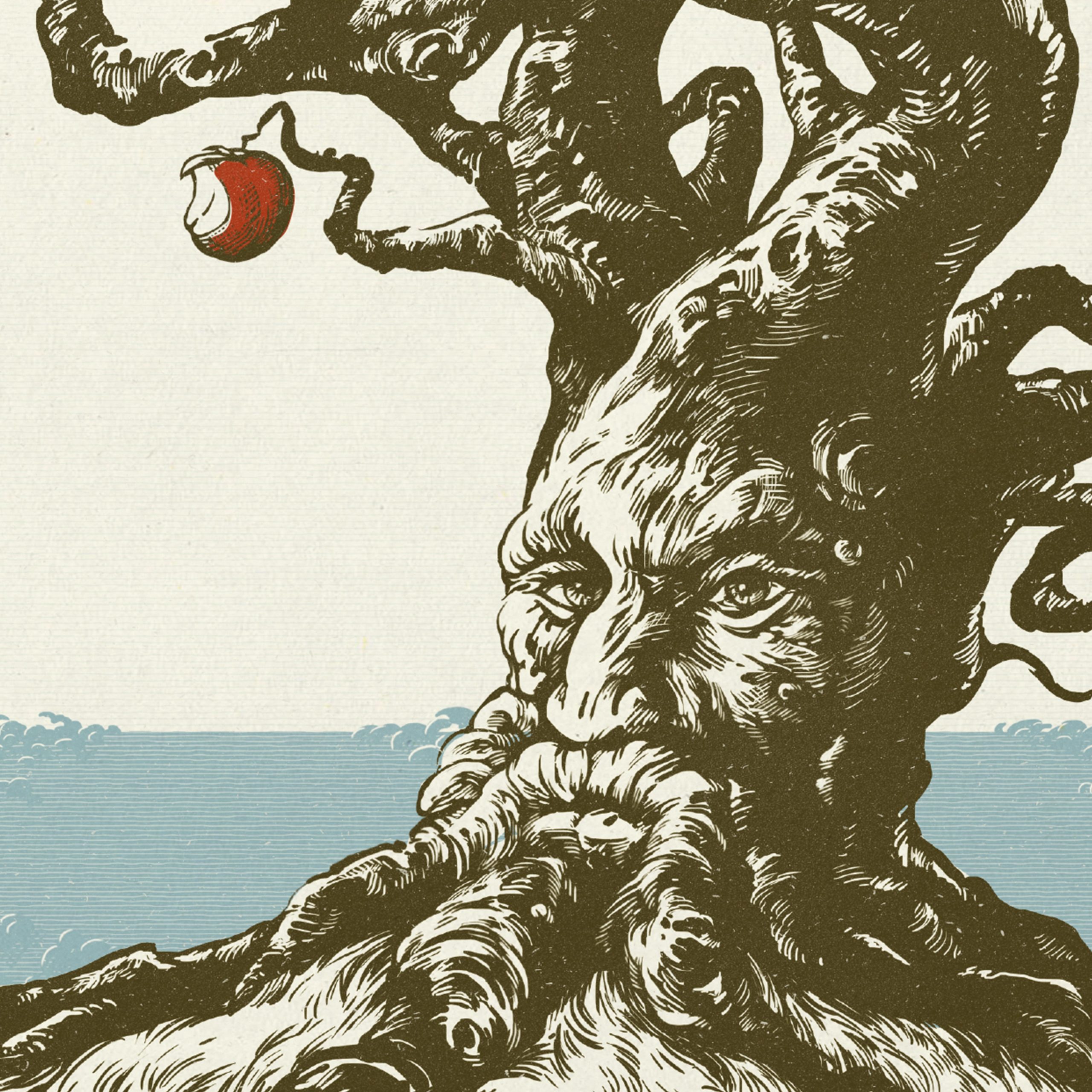 The Angry Orchard Packaging Design from Moxie Sozo | Moxie Sozo