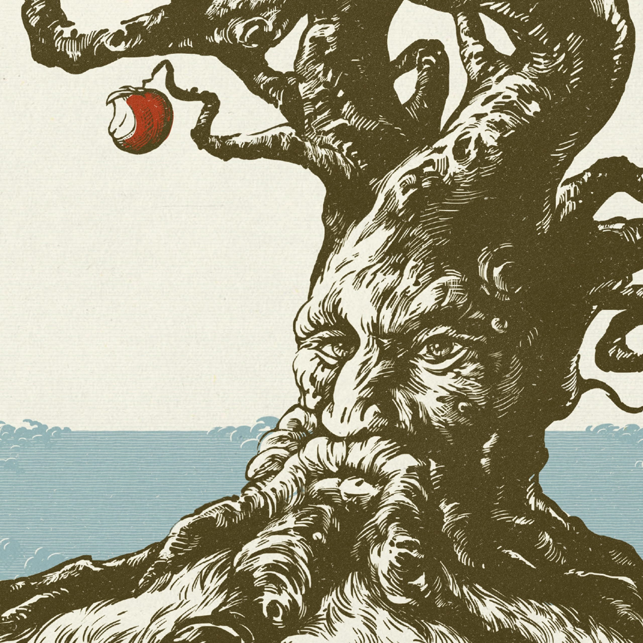The Angry Orchard Packaging Design from Moxie Sozo | Moxie Sozo