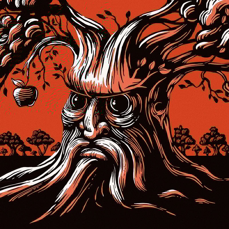 The Angry Orchard Packaging Design from Moxie Sozo | Moxie Sozo